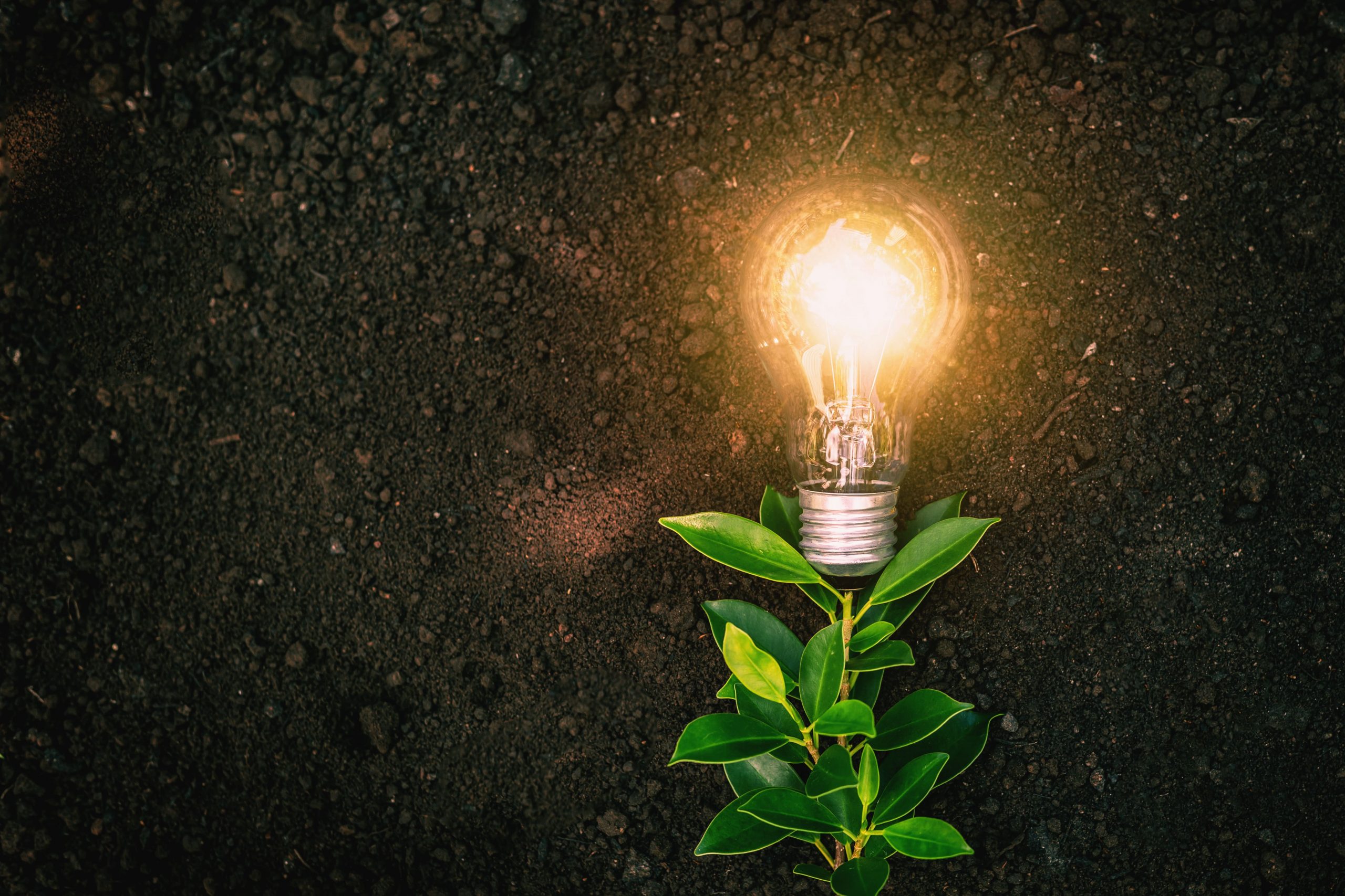 5 Things We Must Do to Inspire the Next Generation about Sustainability ...