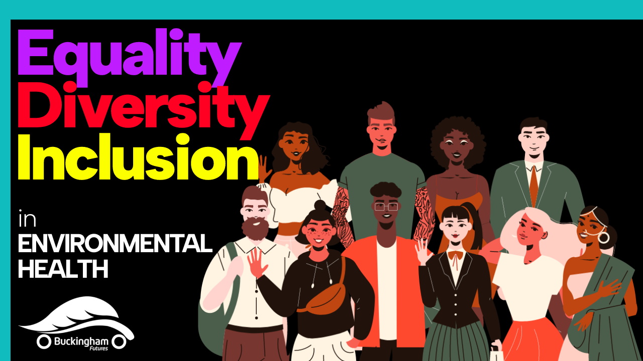 Equality, Diversity and Inclusion in Environmental Health (EH ...